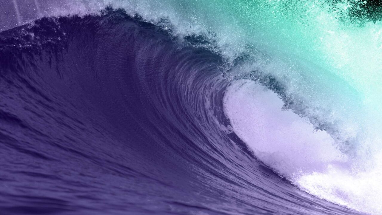 Insights - Capstone DC