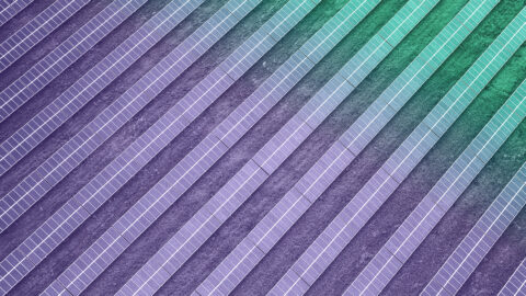 Insights - Capstone DC