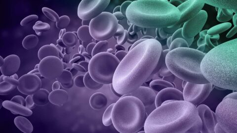 Plasma’s Promise: America's Liquid Gold - Capstone DC