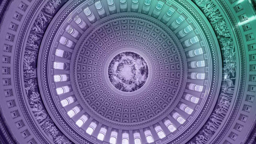 Insights - Capstone DC