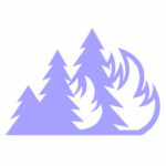 Predict Policy. Quantify Impact. Create Strategy | Capstone