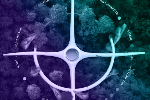 Capstone 2025 Previews - Capstone DC