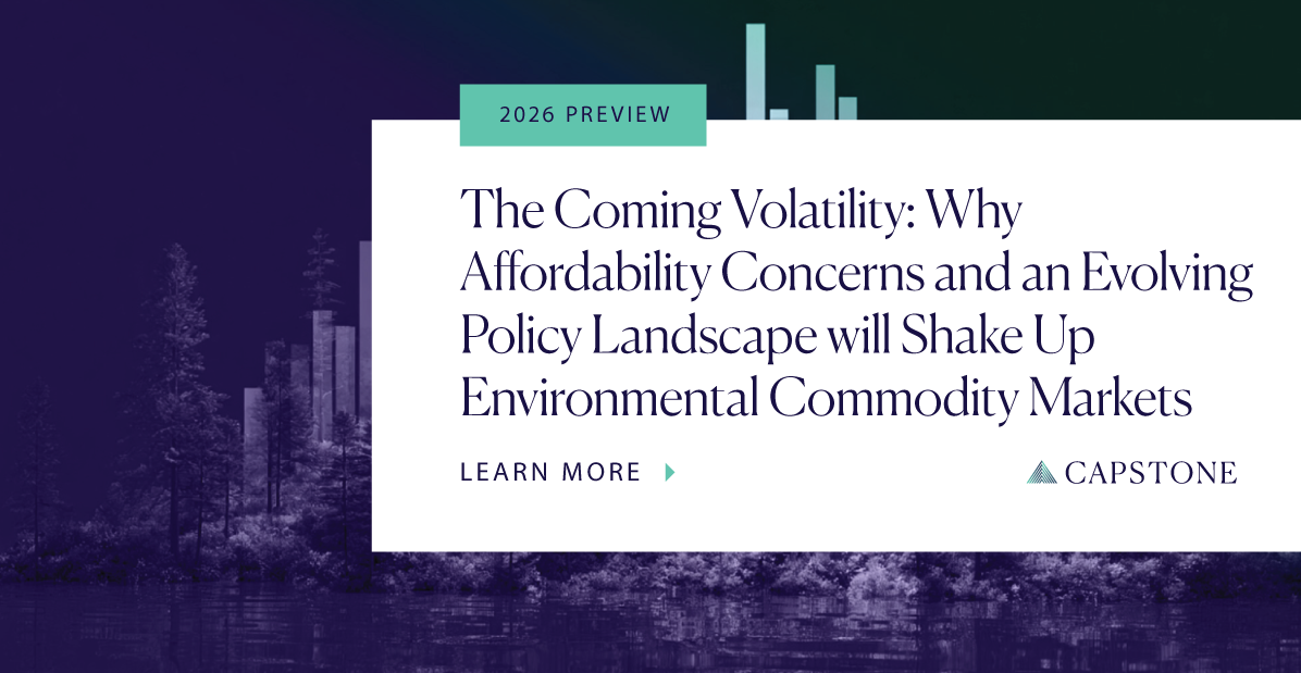 The Coming Volatility: Why Affordability Concerns and an Evolving ...
